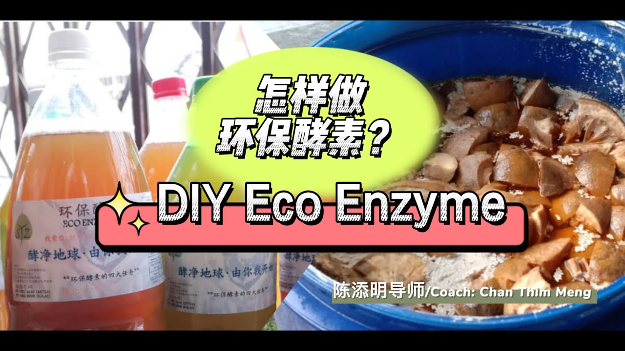 怎样制作环保酵素 (英文字幕) ？ How to make eco-enzyme/bio-enzyme? - YouTube