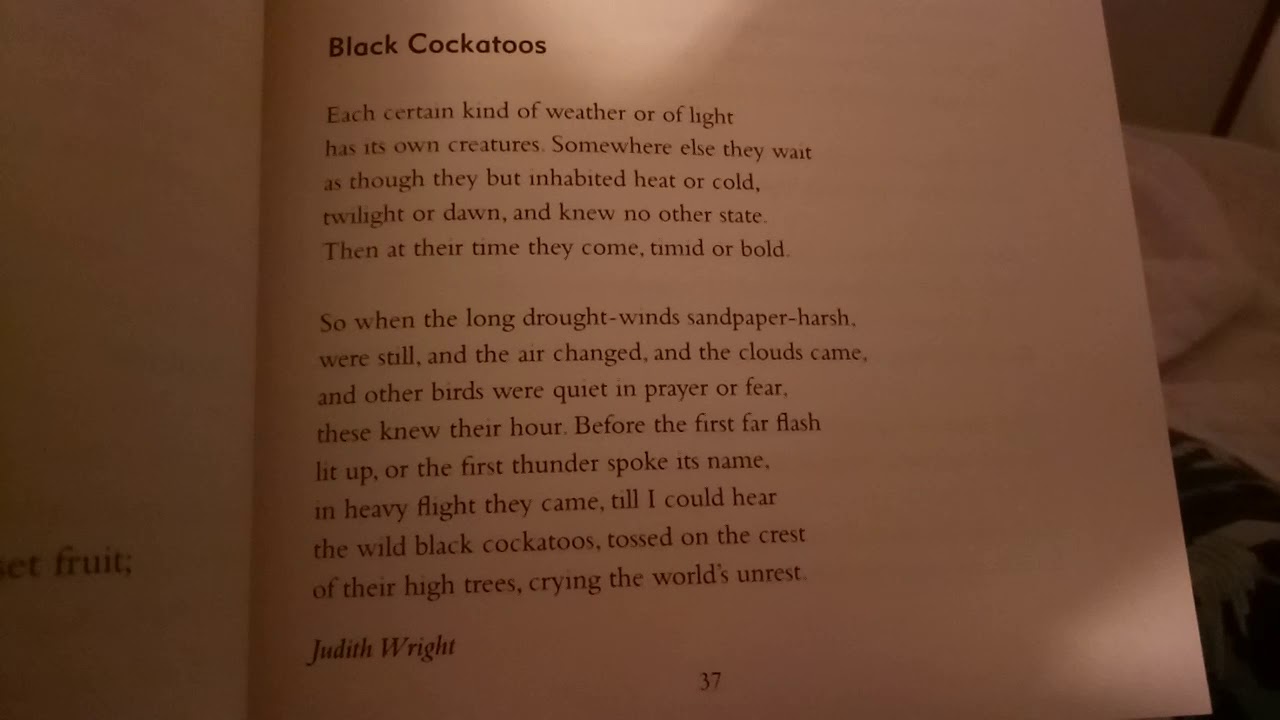 Black cockatoos - Judith Wright as read by Harry Symons - YouTube