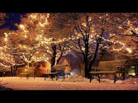 PARK | 4K VİDEO | Magical Videos TV #park #trees