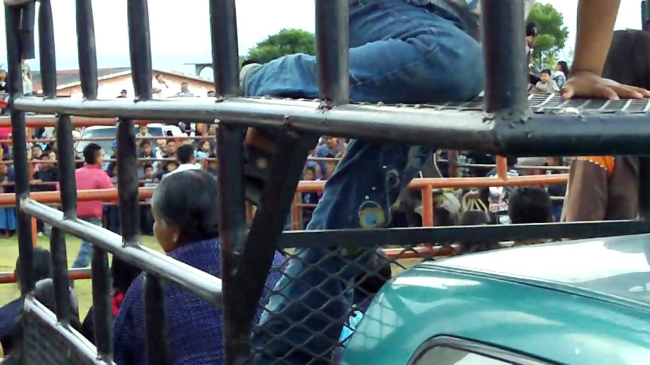 Jaripeo Con Banda Zafiro - YouTube