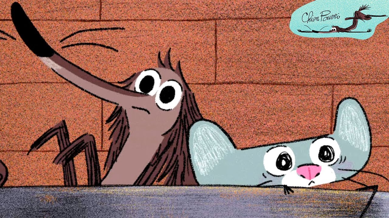 Chien Pourri Roi De L'Amour | Chien Pourri | 25' Compilation | Dessin ...
