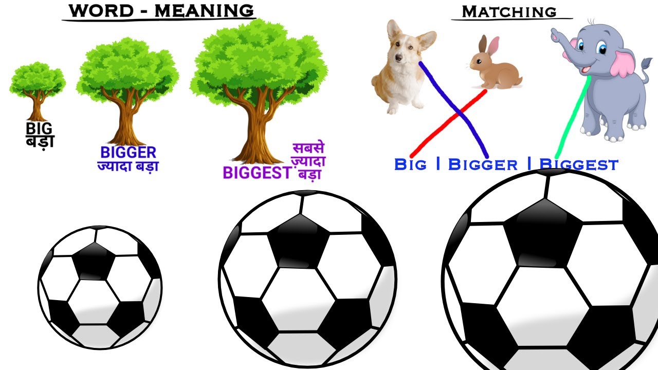 Big, Bigger, Biggest - Word Meaning for Kids | Matching with Picture ...