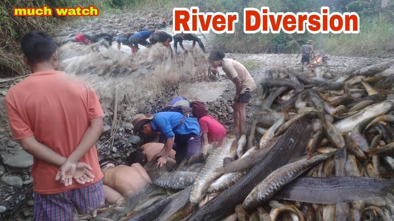 Konyak Naga Traditional system of River Diversion Fishing | WBC Youths ...