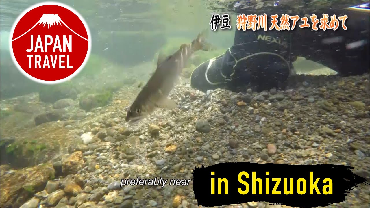 Japan Travel Shizuoka - KANO RIVER - YouTube