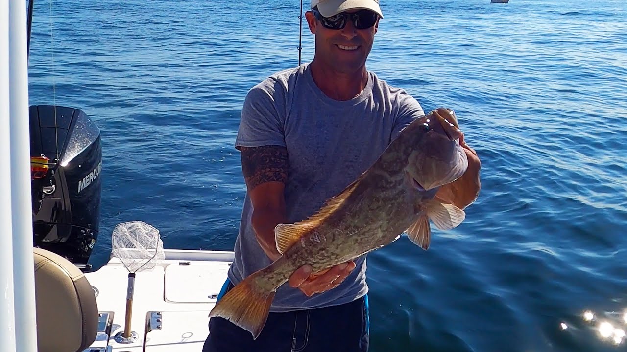 GAG GROUPER! BEST HOMEMADE MANGO SALSA ON FRESH FISH! - YouTube