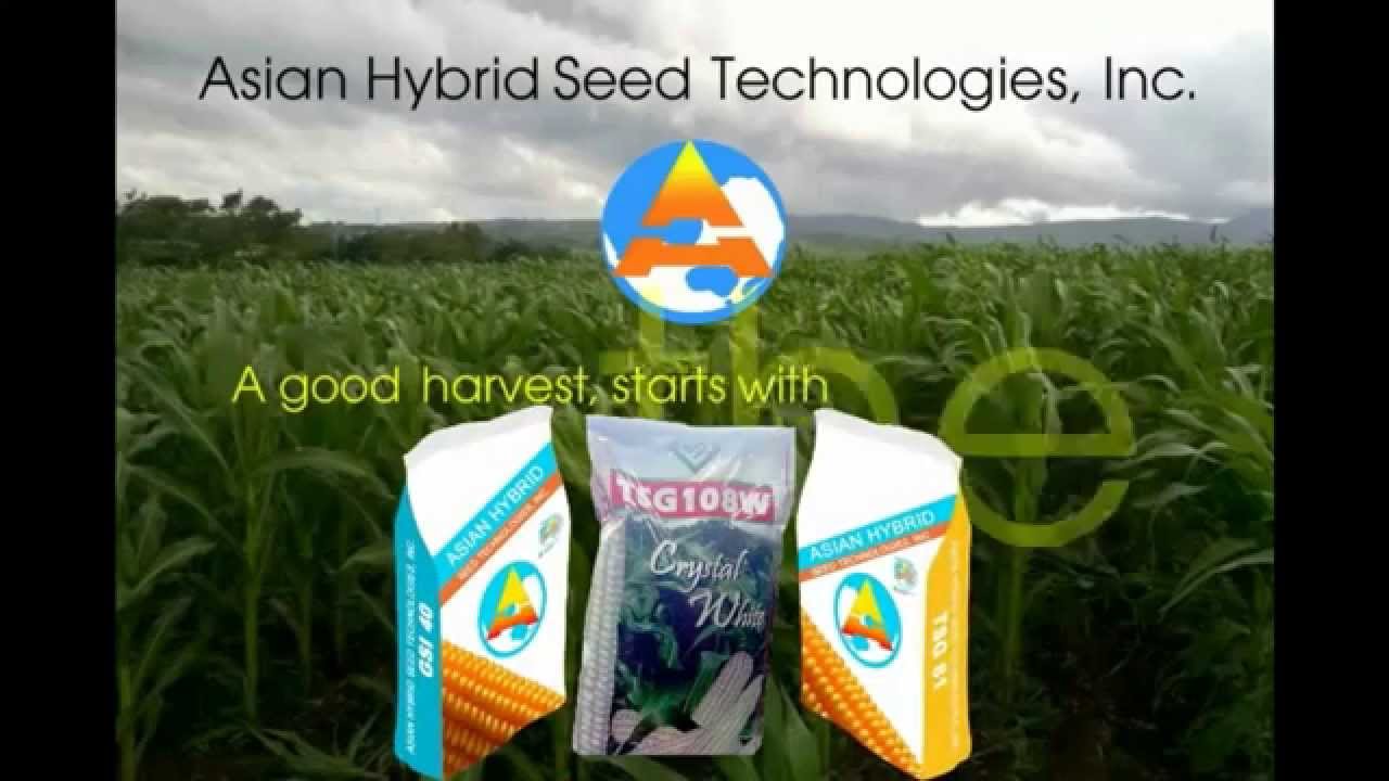 Asian Hybrid Seed Technologies, Inc. - YouTube