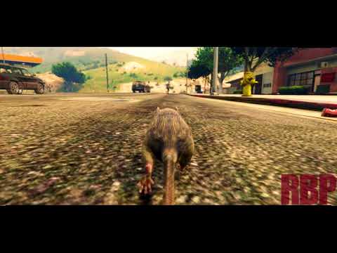 Jamaican rat - YouTube