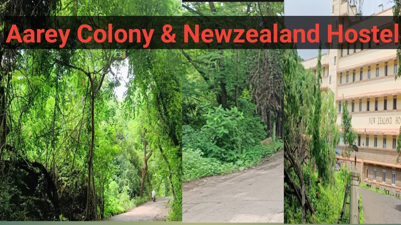 Aarey Colony water fall |आरे कॉलोनी |Aarey Jungle| Newzealand Hostel ...