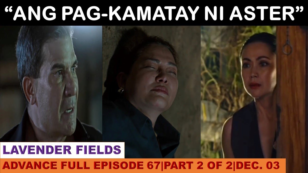 LAVENDER FIELDS|ADVANCE FULL EPISODE 67|PART 2 OF 2|DECEMBER 03,2024 ...