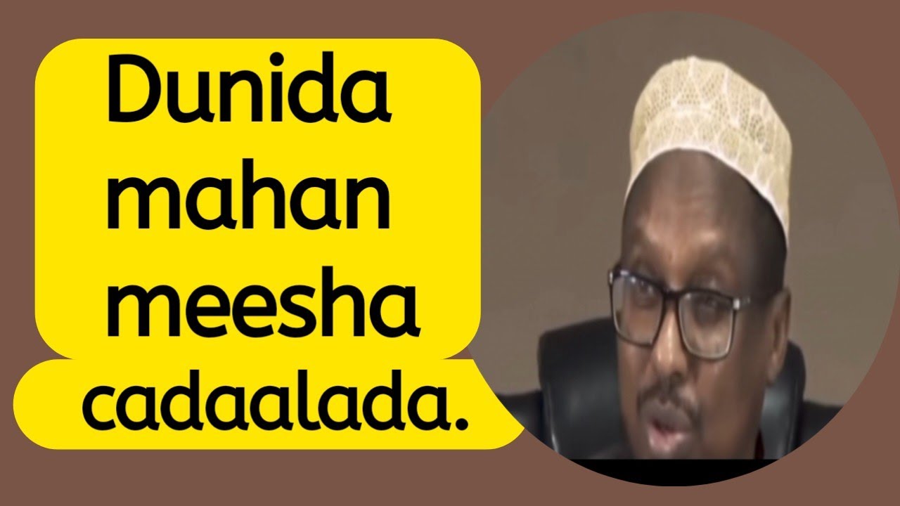 Dunidu ma ahan meesha cadaalada#duet - YouTube