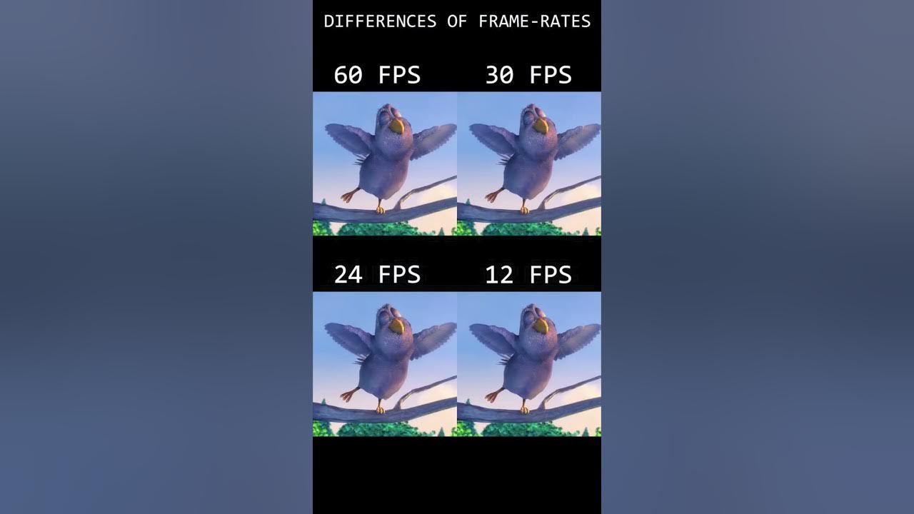 FPS (Frames Per Second) - YouTube