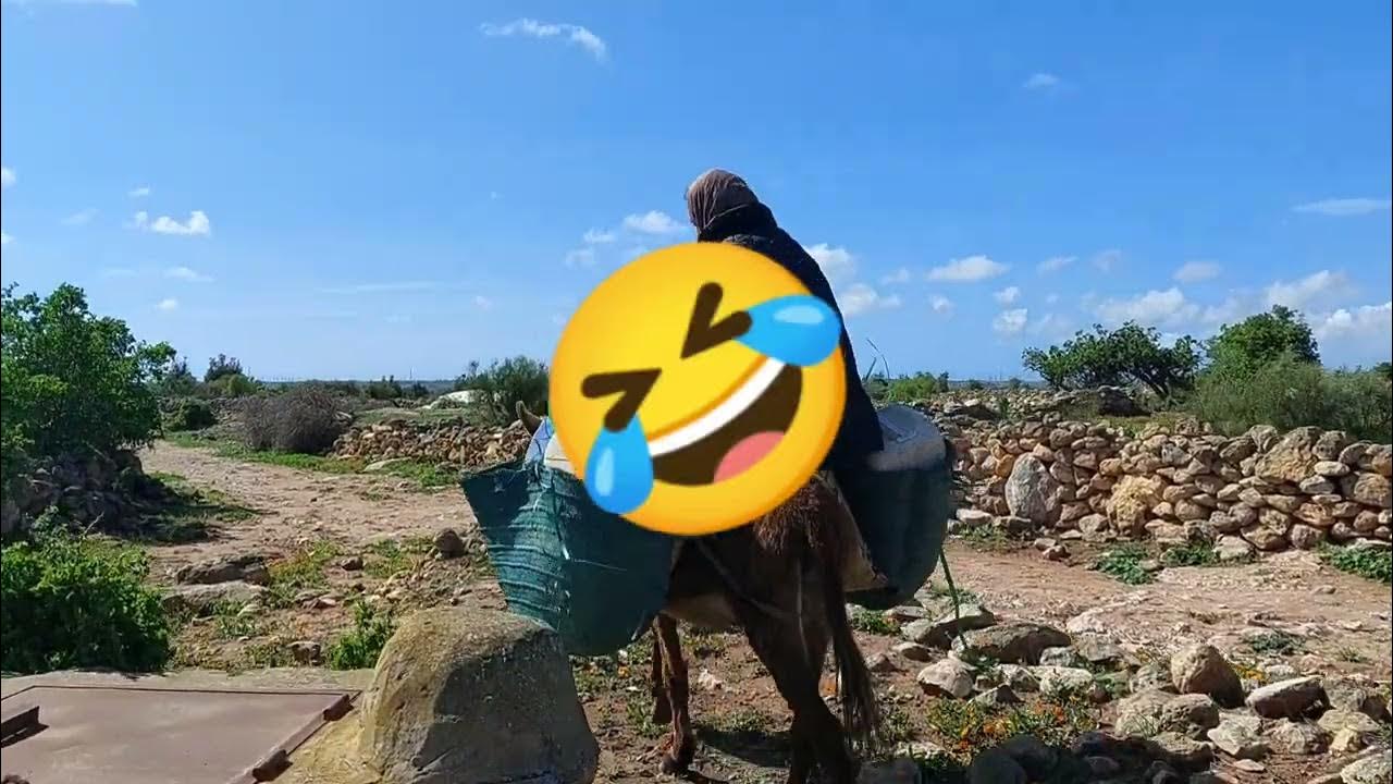فديو ركوب الحمار🤣🤣🤣 Youtube