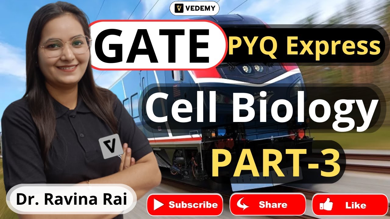 Gate Pyqs Express Cell Biology Part 3 Gate Bt And Xl Complete Solution Dr Ravina Rai