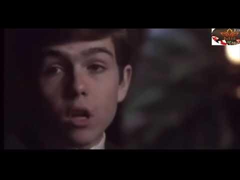 Malizia (1973) Movie Explained in Hindi | Laura Antonaz | movie explained || - YouTube