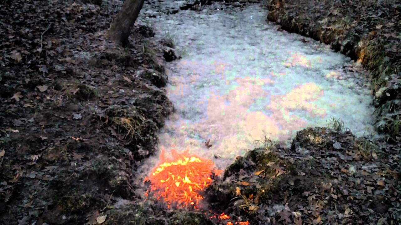 Cattails on fire! - YouTube