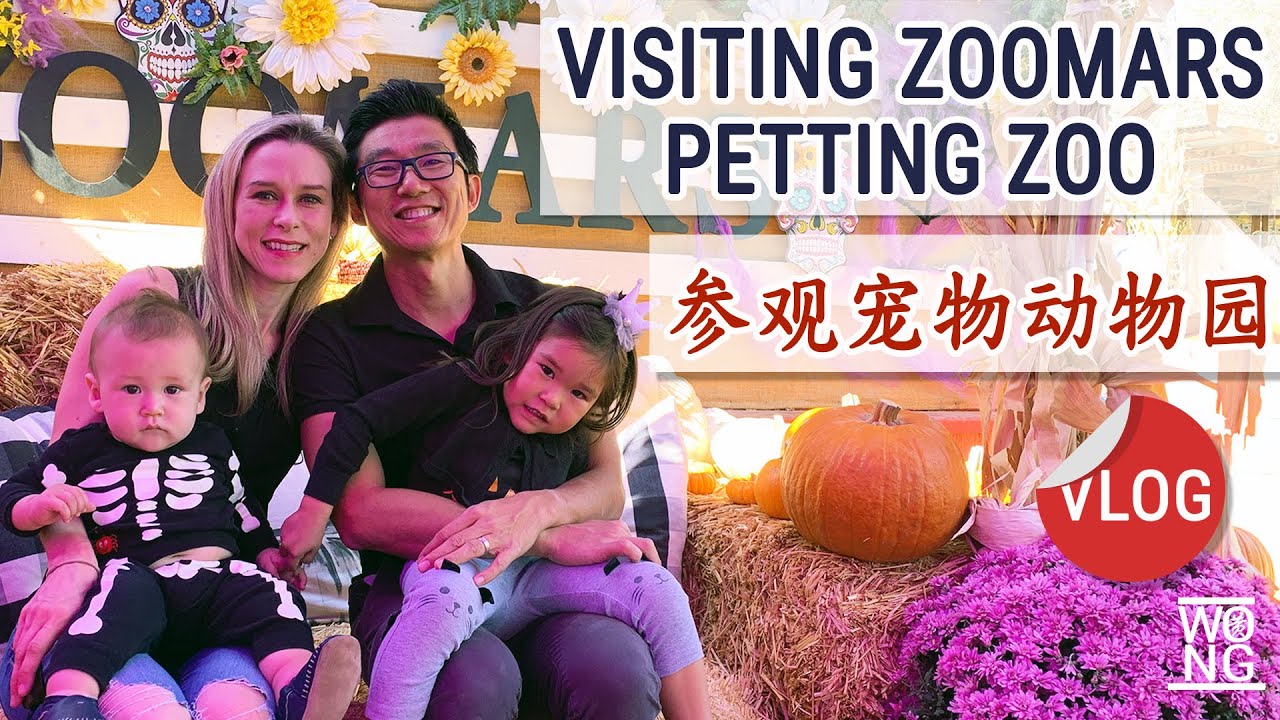 Zoomars Petting Zoo 参观宠物动物园 I [国际夫妇] 2WongsMIR - YouTube