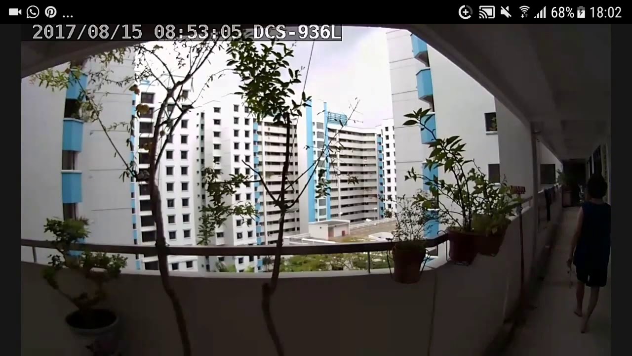 Plant Stealer 15082017 - YouTube