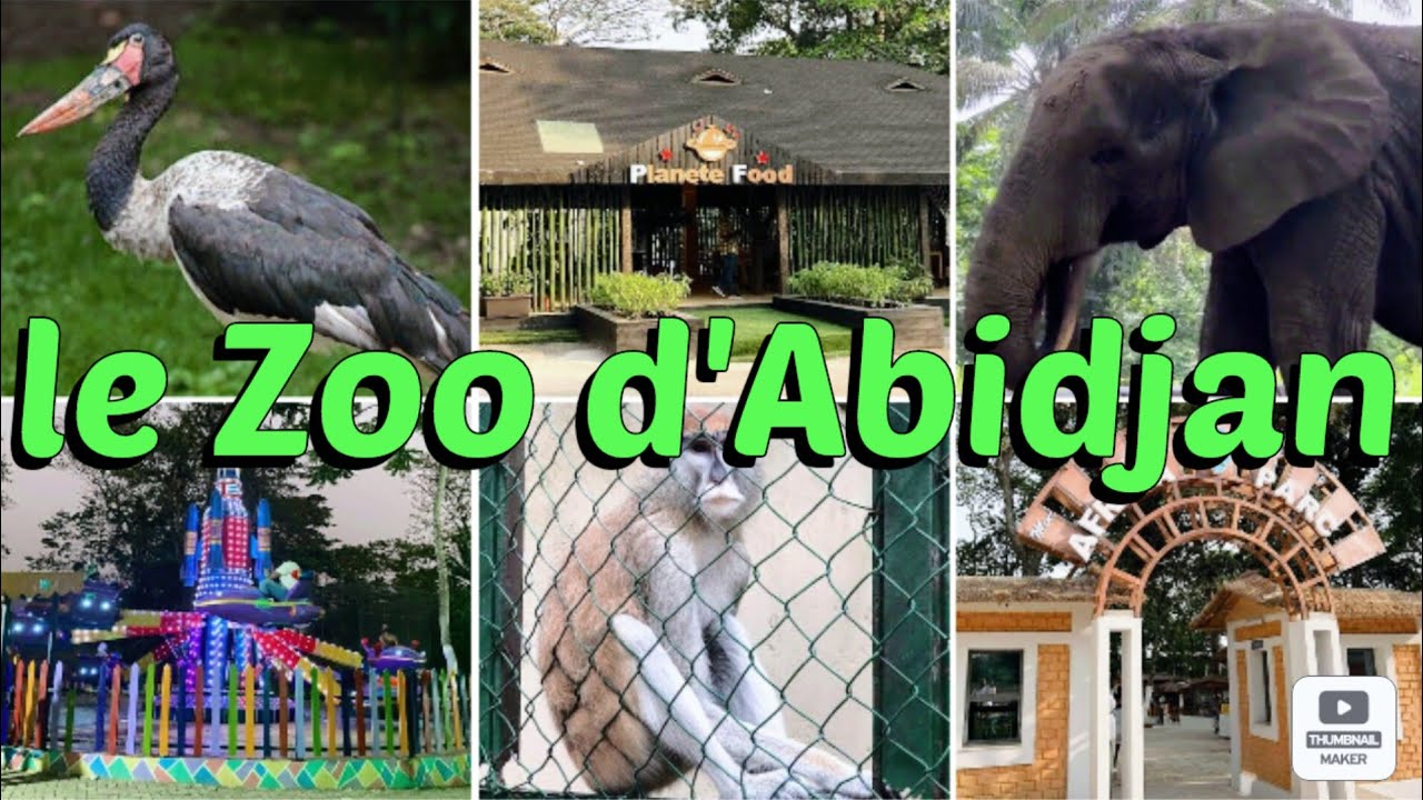 🐊🐆🐘 ZOO NATIONAL🦁🐒🪿ABIDJAN CÔTE D'IVOIRE🇨🇮 DÉCOUVERTE / TOURISME - YouTube