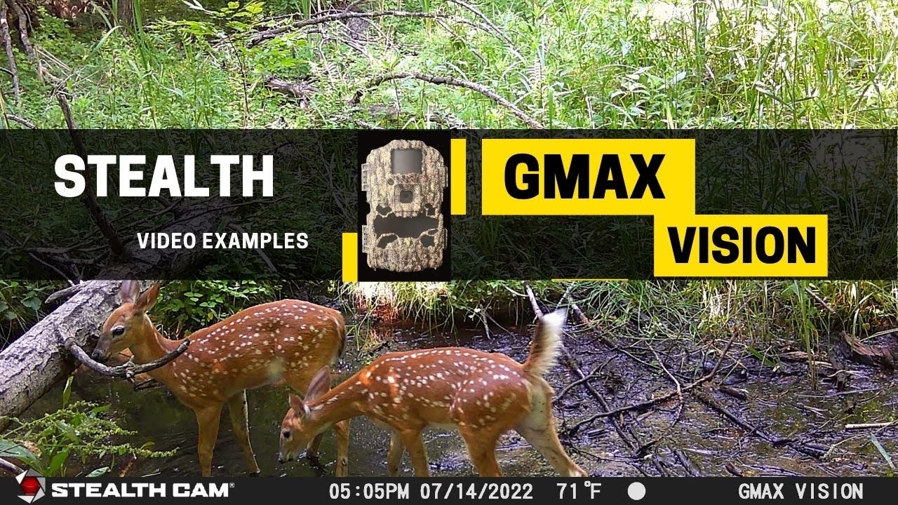 Stealth Gmax Vision Video Examples #trailcamjunkie #Stealthcam # ...