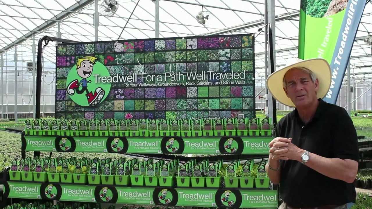 Dr. Allan Armitage on Treadwell perennials - YouTube