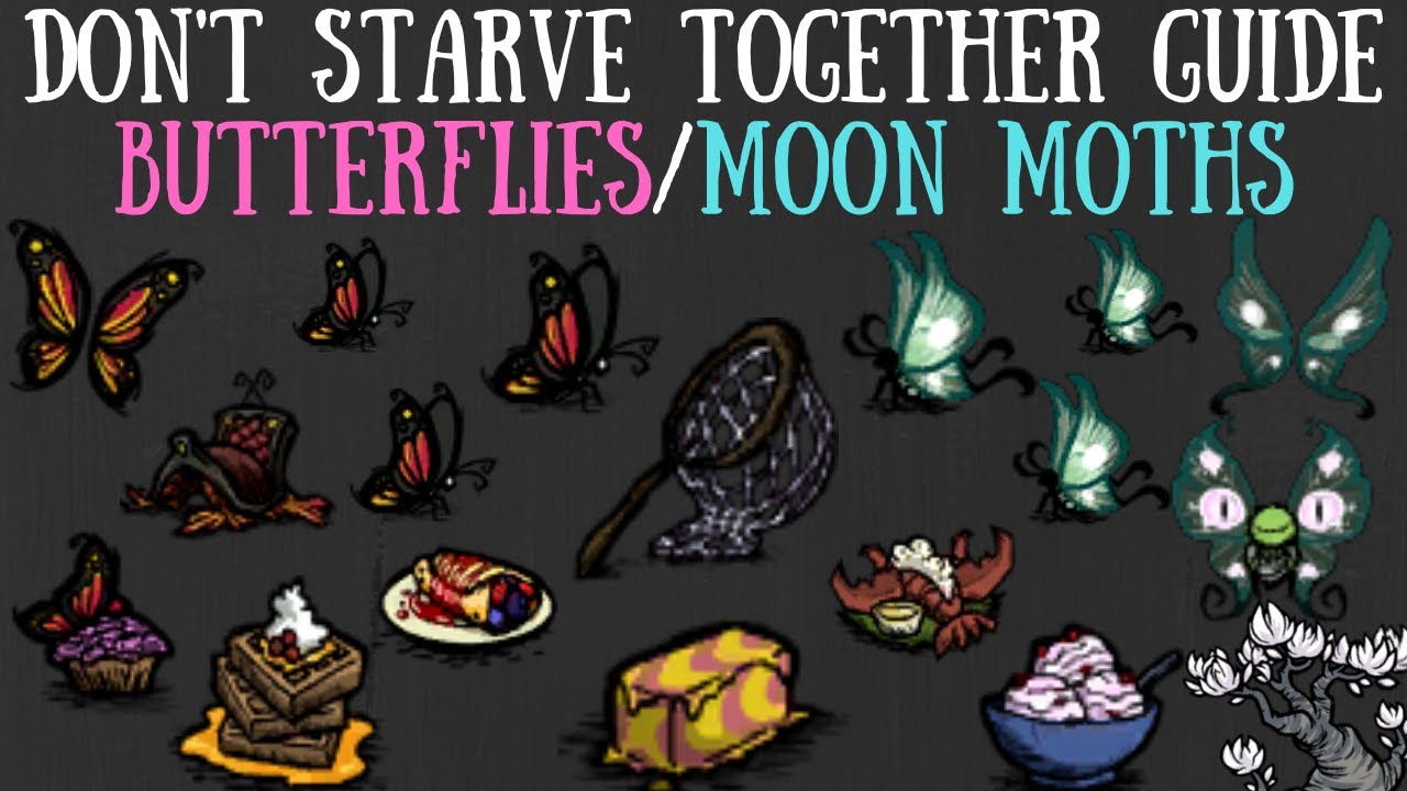 Don't Starve Together Guide: Butterflies/Moon Moths - YouTube