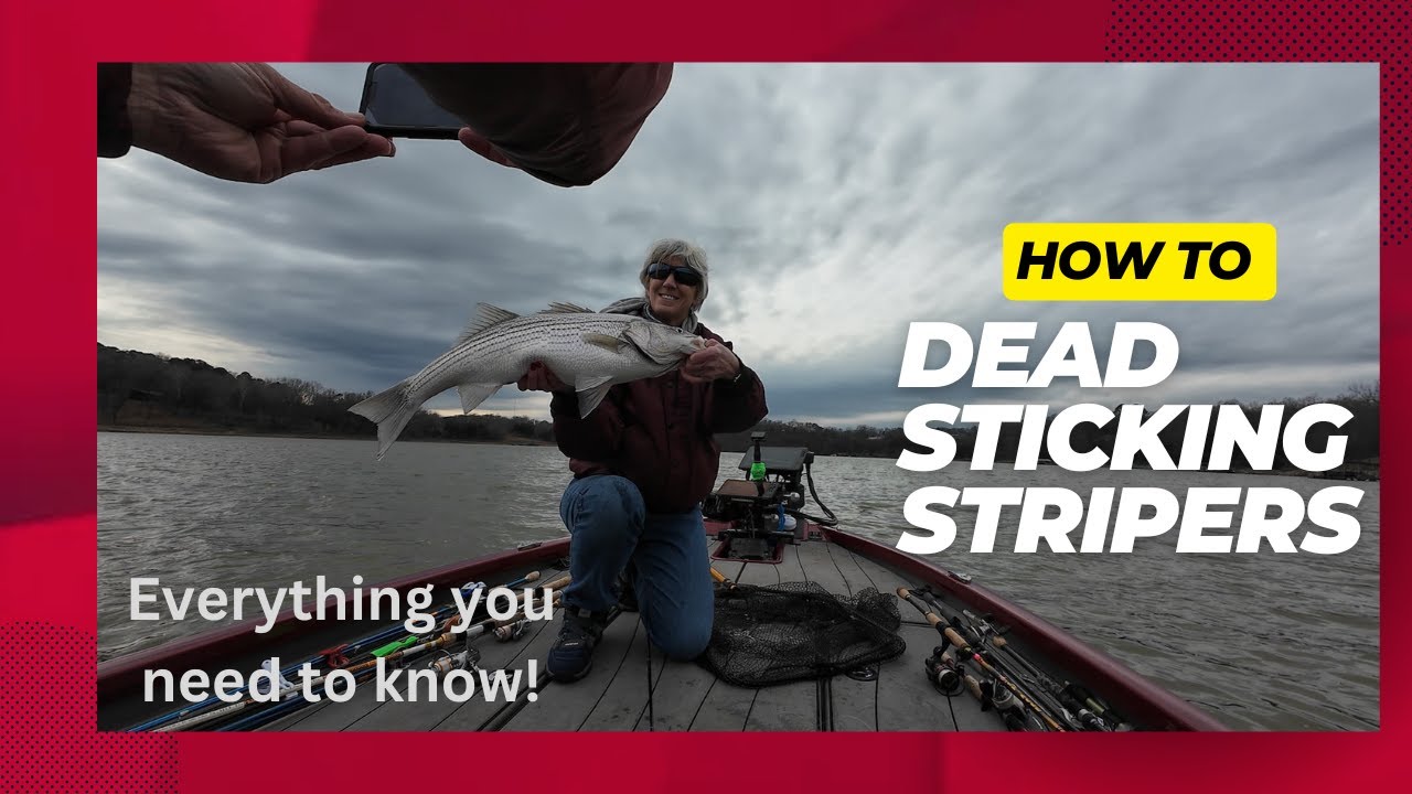 Everything you need to know about dead sticking for winter time ...