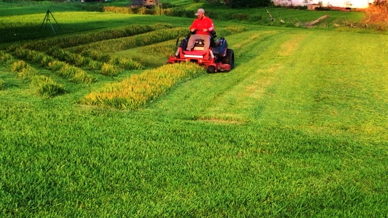 Had to MOW DOWN our American Flag in the Lawn | Here's WHY - YouTube