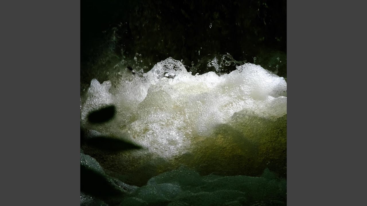 Echolocation - YouTube Music