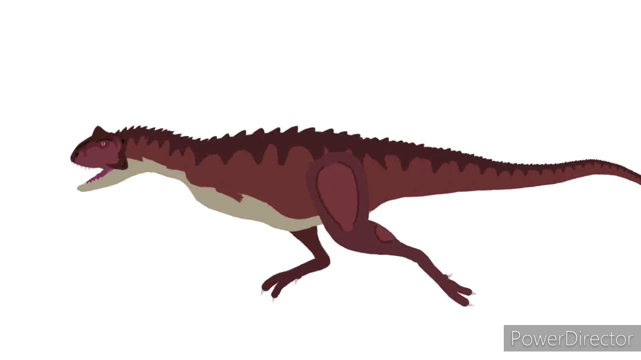 CARNO run cycle - YouTube