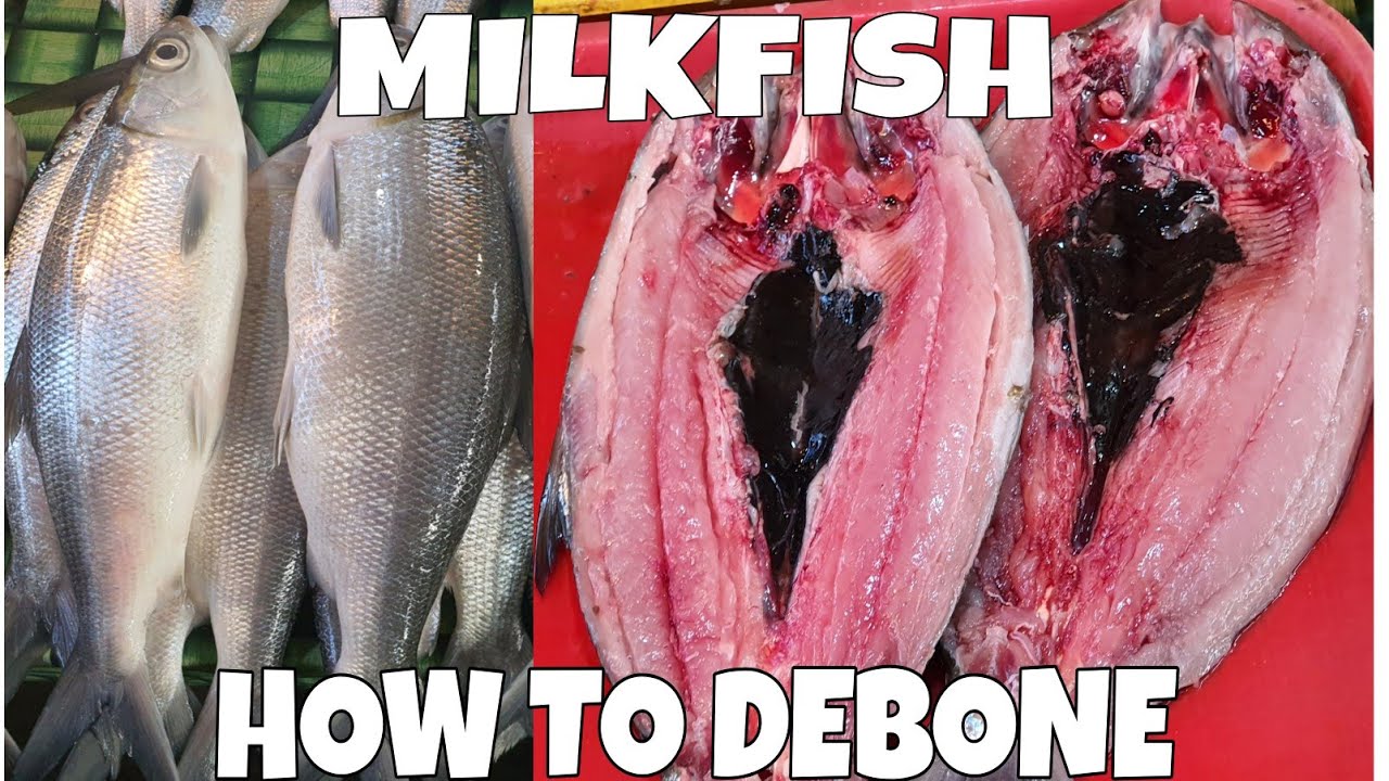 HOW TO DEBONE BANGUS/MILKFISH|STEP BY STEP - YouTube