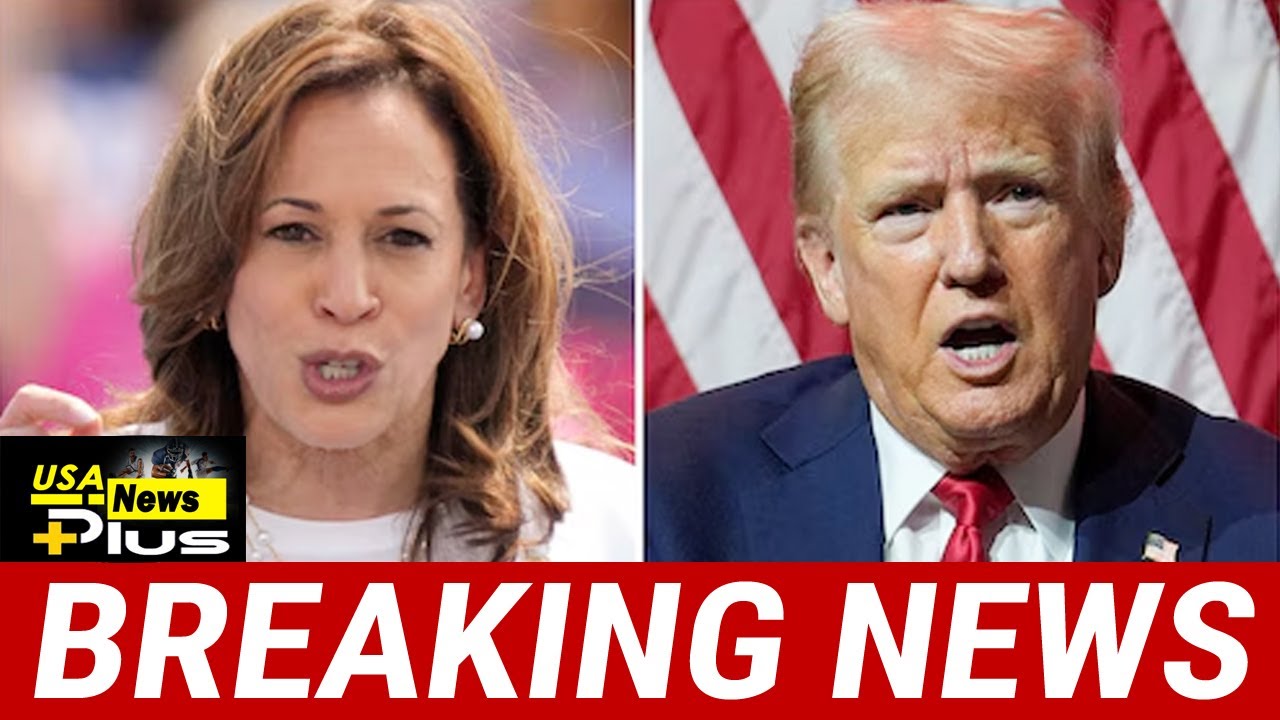 Harris vs Trump Who is leading now Latest numbers show how much race ...