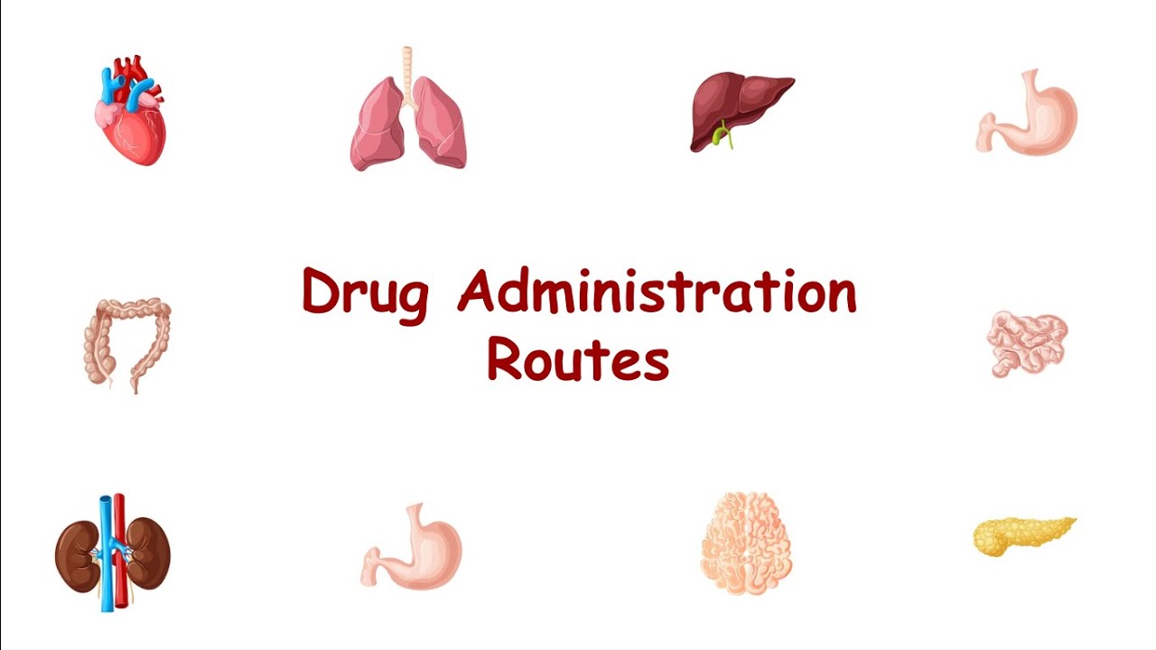 Drug Administration Routes Explained in 60 Seconds - YouTube