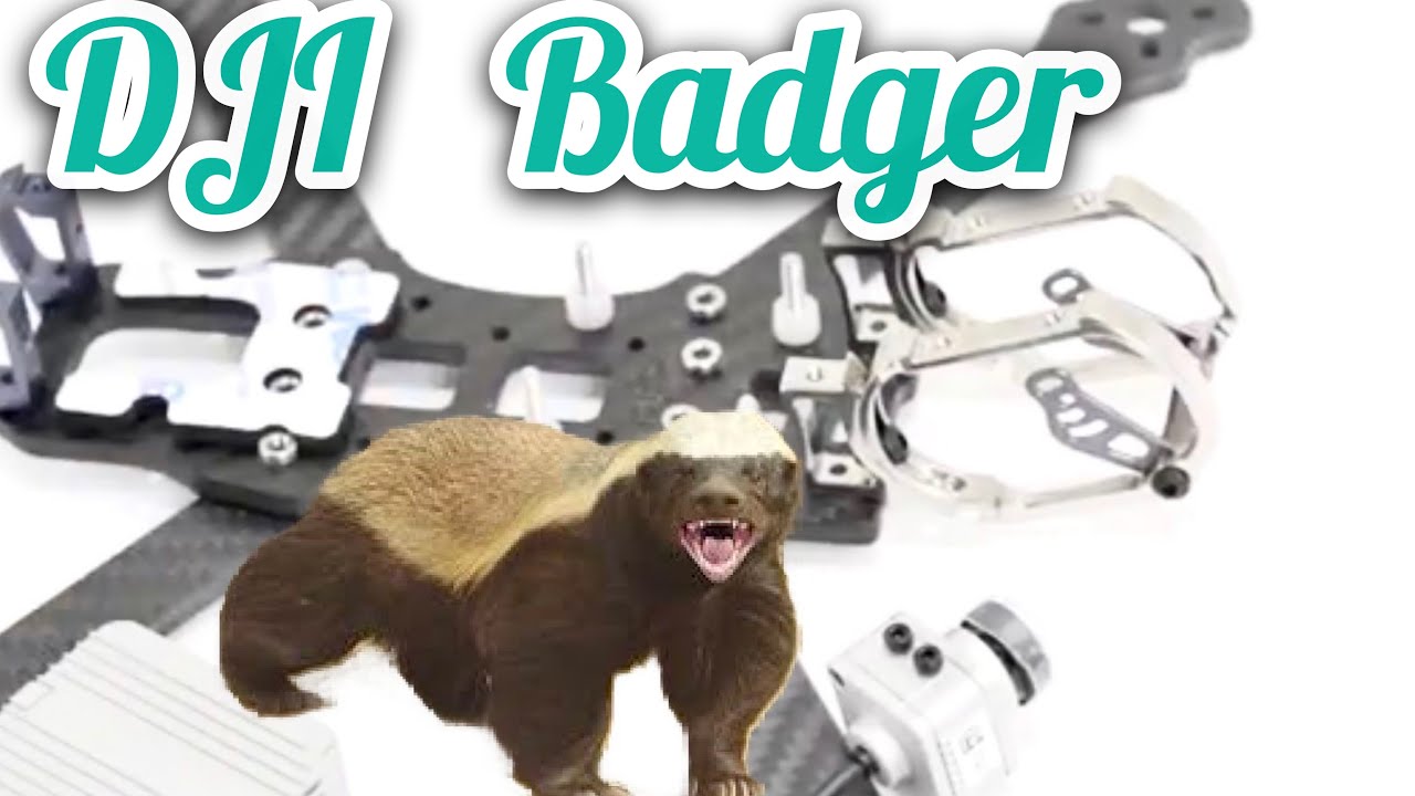 Armattan Badger DJI Edition HD Drone Frame - 6" version Honey Badger ...