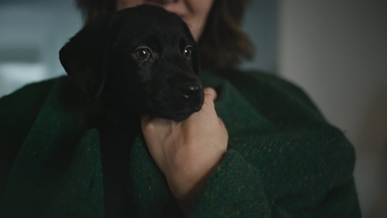 Coal, the holiday surprise | Chewy Commercial - YouTube