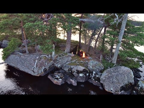 Building a Jungle Log Cabin 🏕️🌲 | Off-Grid Forest Living & Wilderness ...