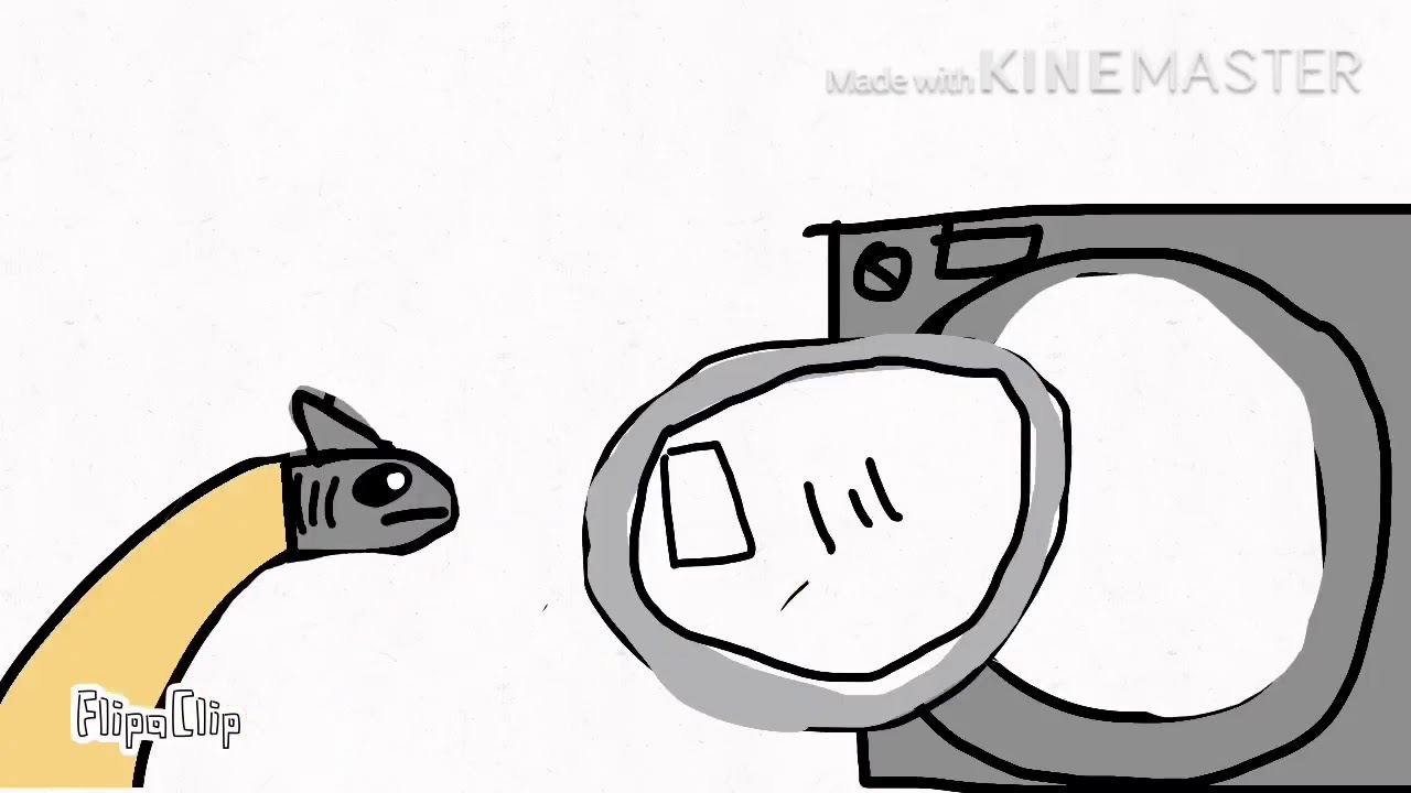 Another shark puppet animation - YouTube