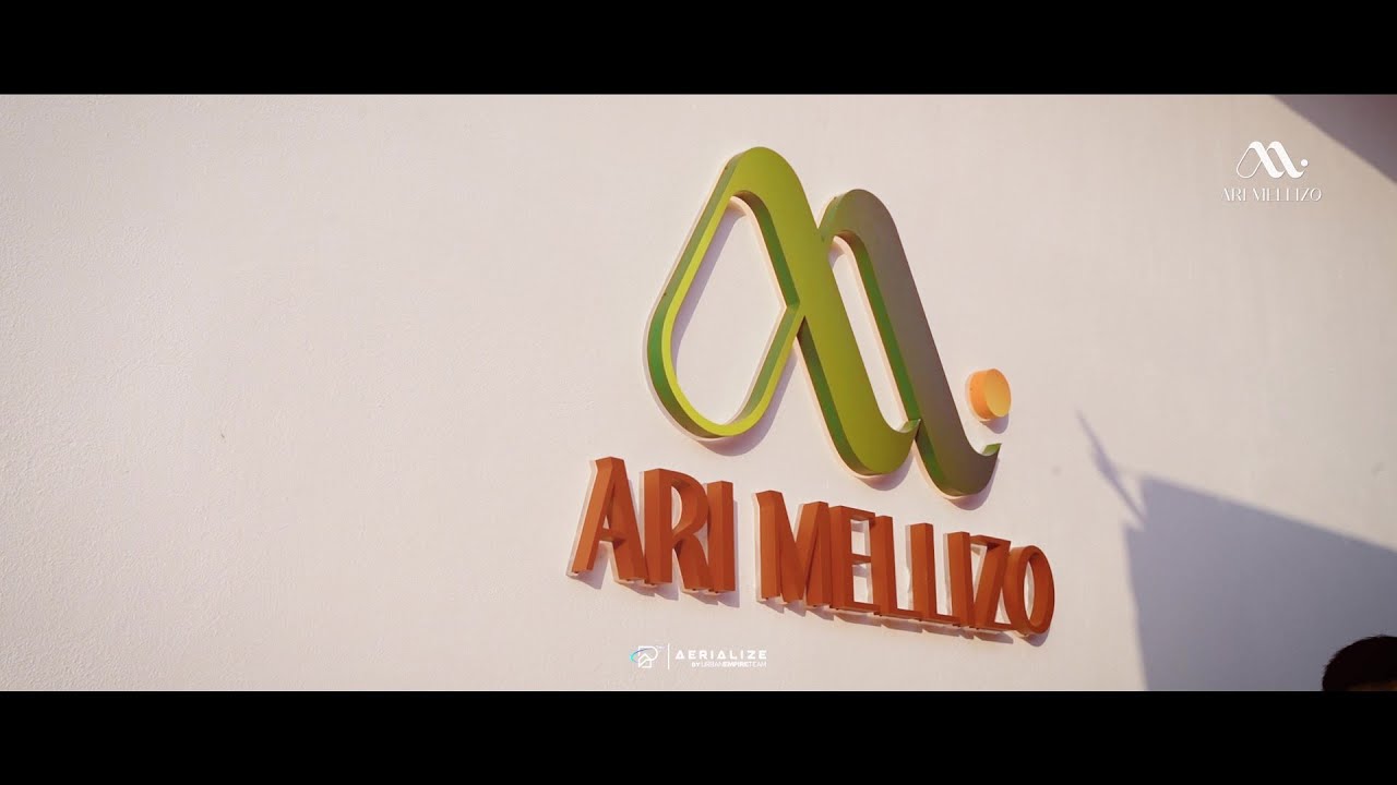 高智能独特化 | 可负担公寓 | Ari Mellizo - YouTube