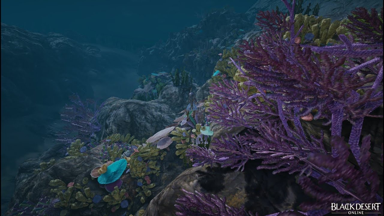 BDO - Colete coral and take my money! - YouTube