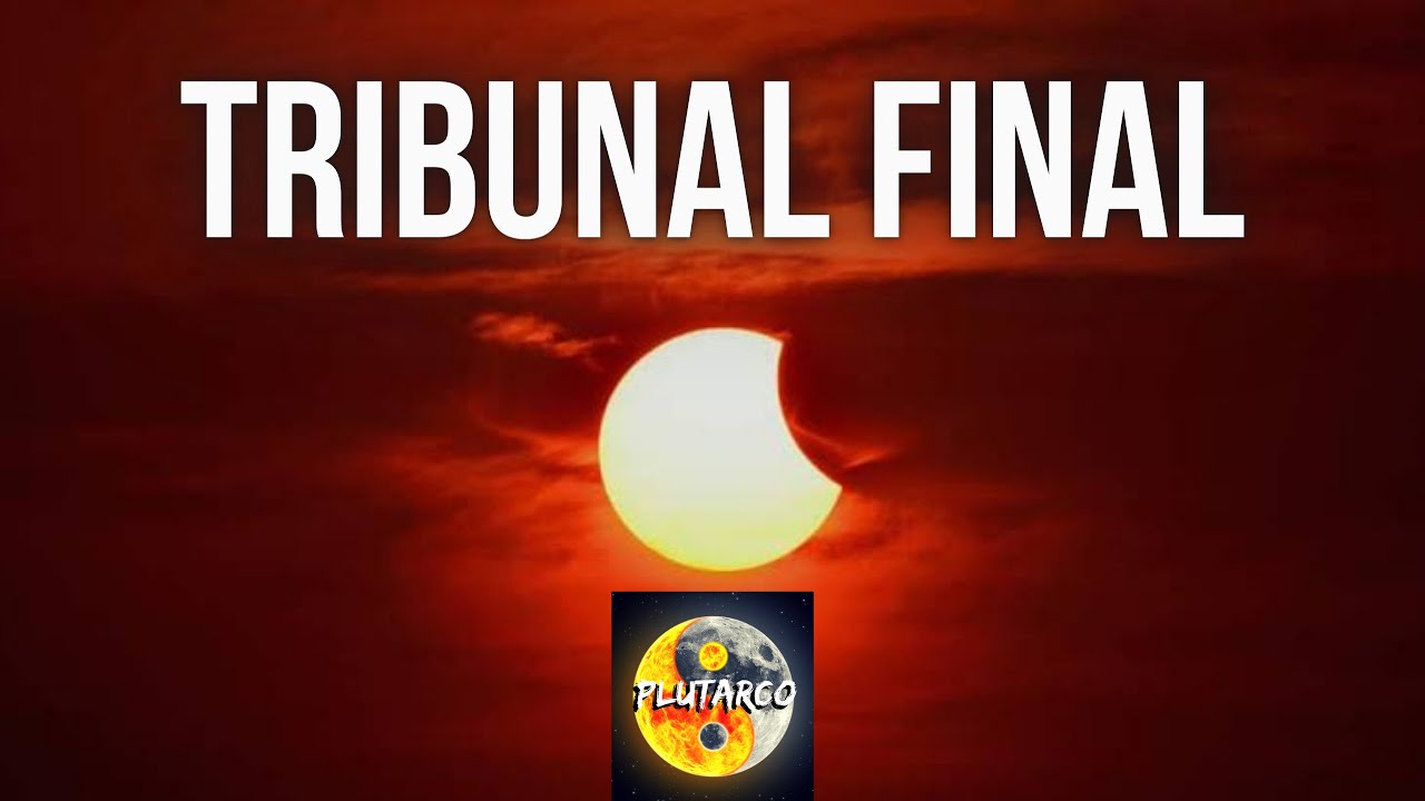 TRIBUNAL FINAL - YouTube