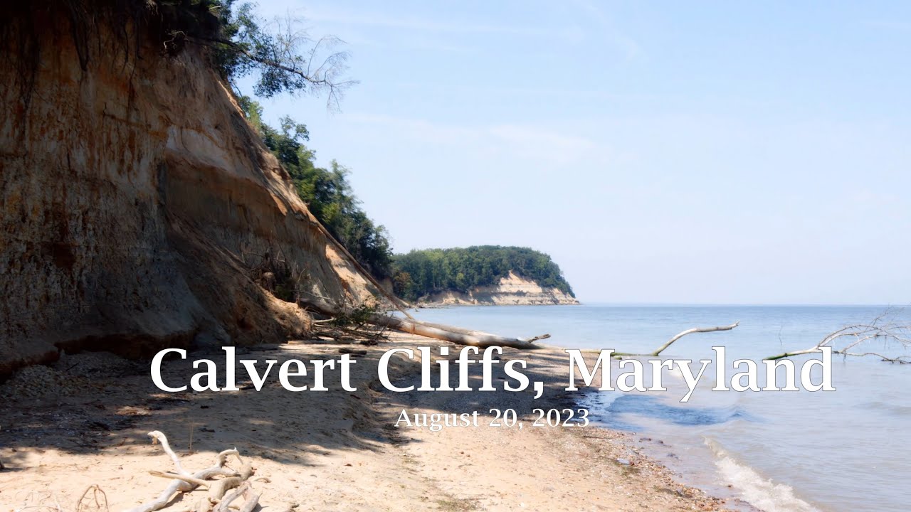 A Day at Calvert Cliffs! Birds, Butterflies, Ships, and Dragonflies ...