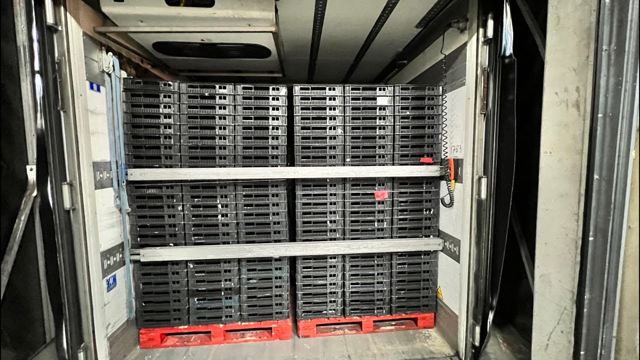 Cbl kratten Pallets Lossen#DutchTruckerrh - YouTube