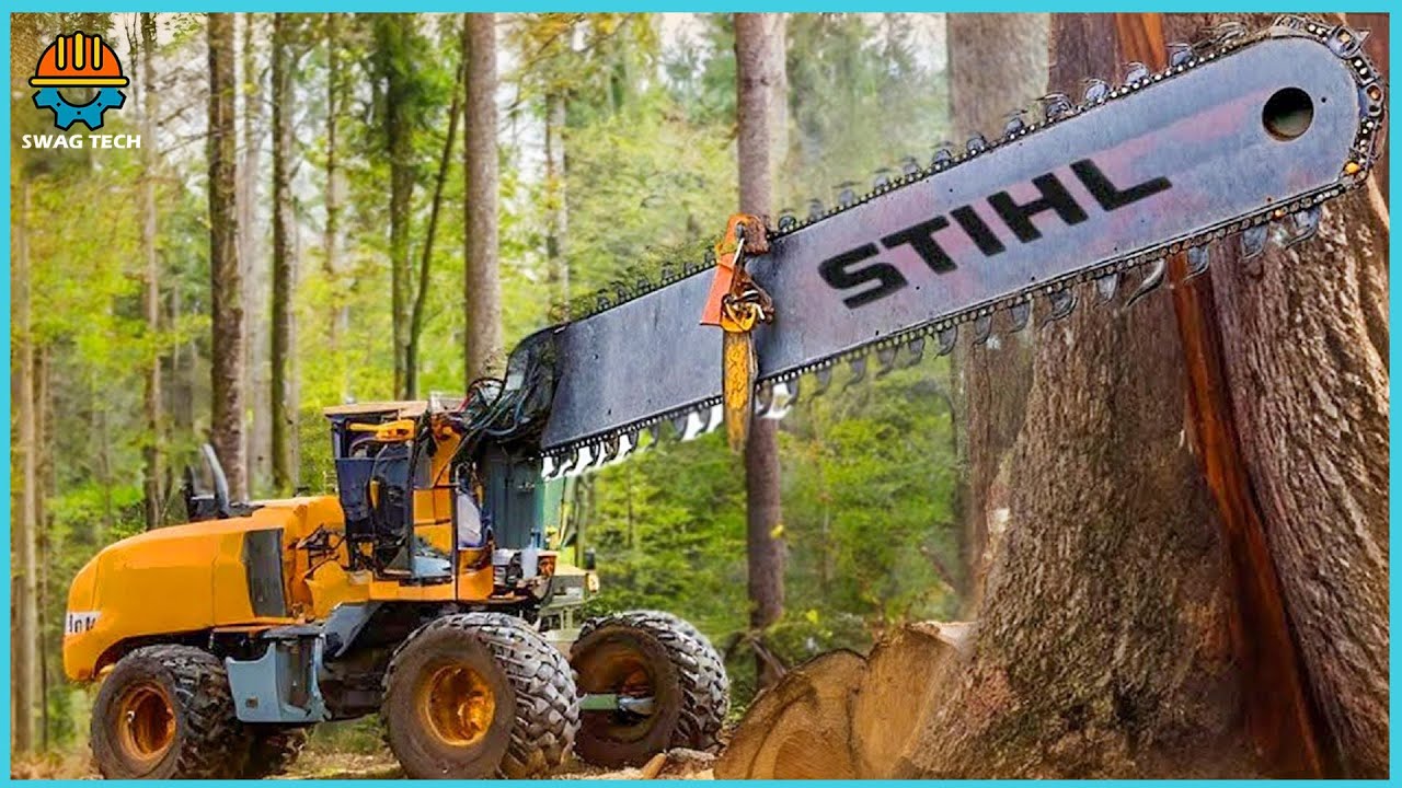 Dangerous Biggest Chainsaw Cutting Tree Machines Skills Tree Felling ...