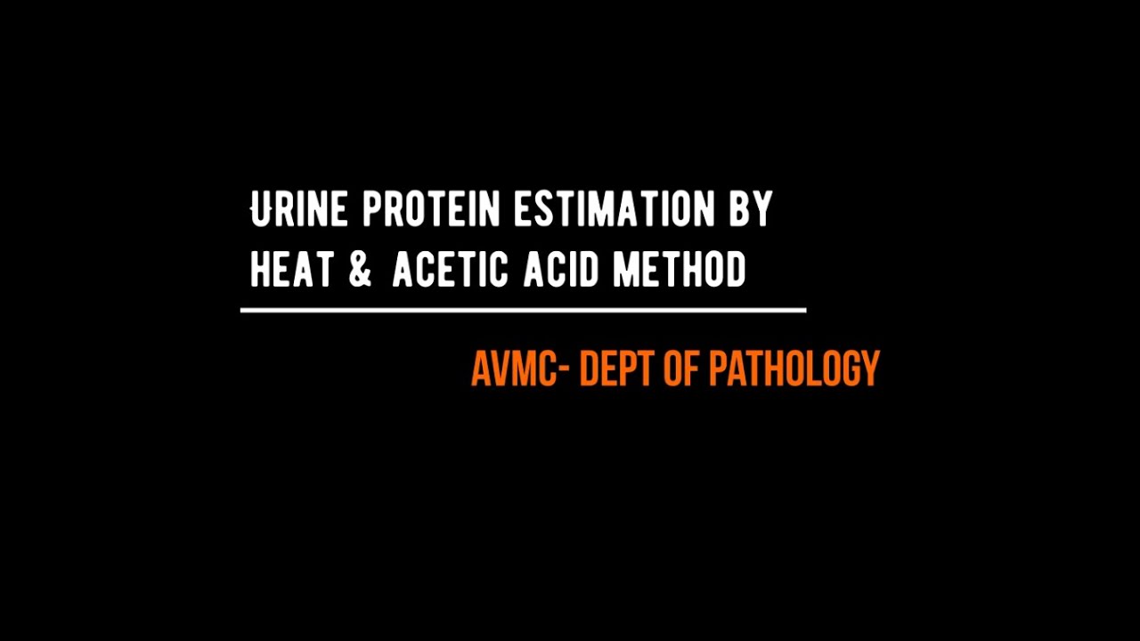 Urine Protein Estimation: Simple and Effective Heat Coagulation Test ...