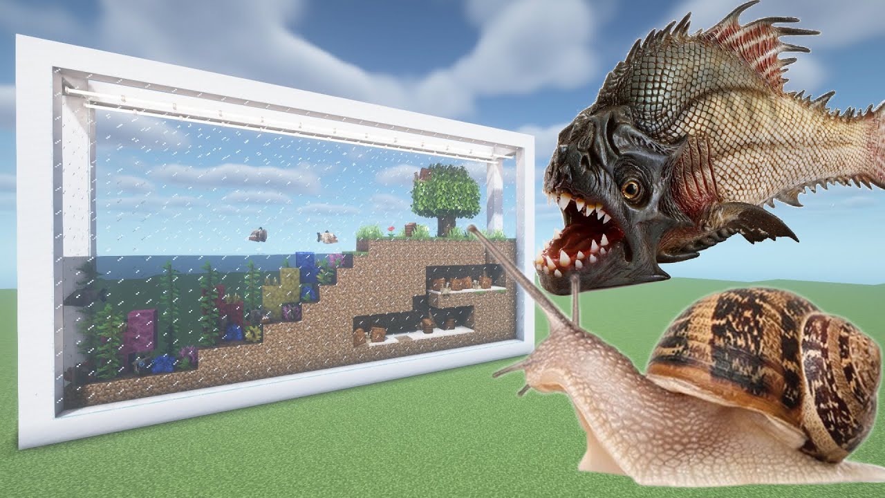 How To Make a Piranha and Snail Farm in Minecraft PE - YouTube