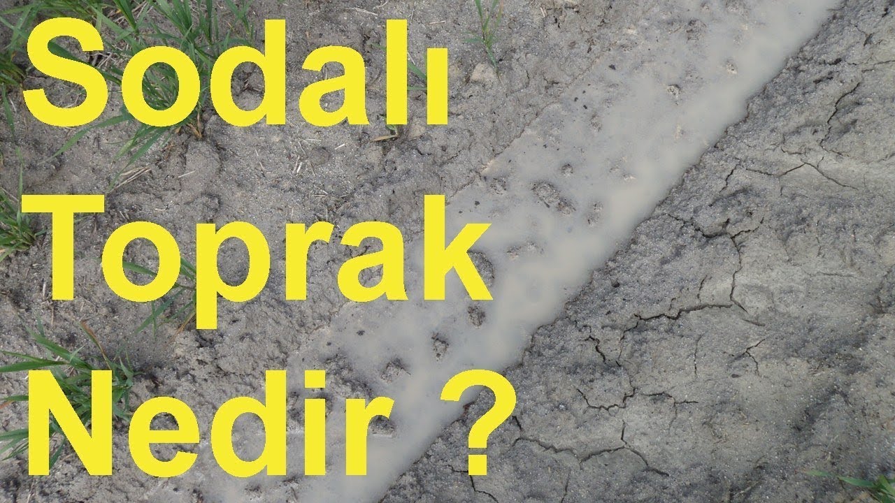 Toprak Çeşitleri Tipleri Türleri - YouTube