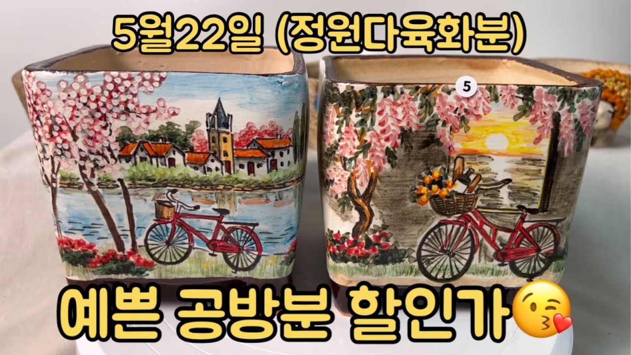 2024년 5월 22일 예쁜공방분 할인가로 찜해가세요🤗정원다육화분 정원다육 수제공방분 예쁜화분 다육화분 다육화분싸게