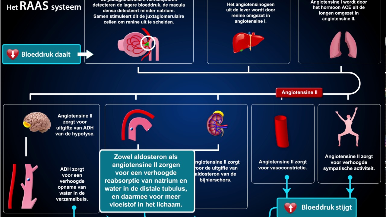 RAAS systeem - YouTube