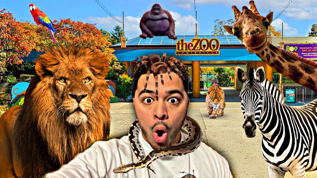 IRL SOLO VLOG AT THE ZOO!!! - YouTube