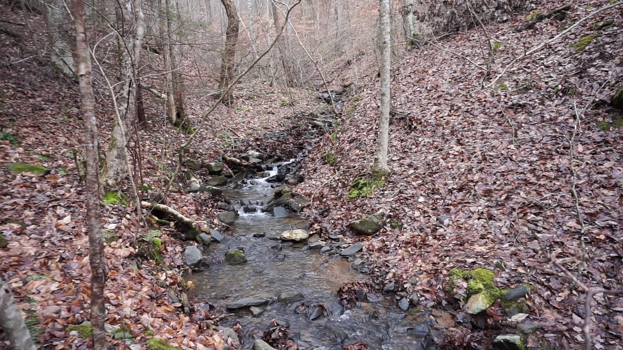 Georgia Trip, Christmas Vacation, 2018.Track Rock Gap Archaeological ...