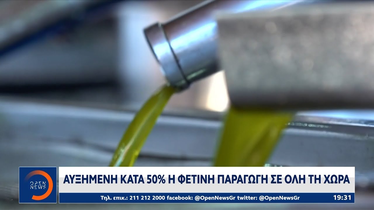 Λάδι: Αυξημένη κατά 50% η φετινή παραγωγή σε όλη τη χώρα | OPEN TV ...
